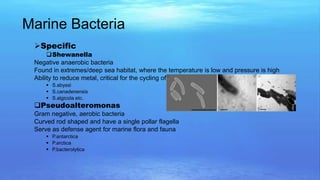 marine water microbes | PPTX