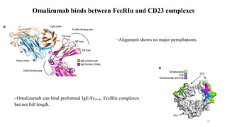 Structural basis of omalizumab therapy and omalizumab-mediated IgE ...