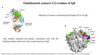 Structural basis of omalizumab therapy and omalizumab-mediated IgE ...