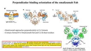 Structural basis of omalizumab therapy and omalizumab-mediated IgE ...