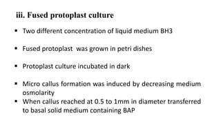 protoplast fusion between Indonesian citrus maxima and citrus ...
