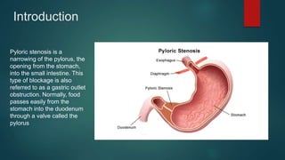 Presentation1 (2).pptx