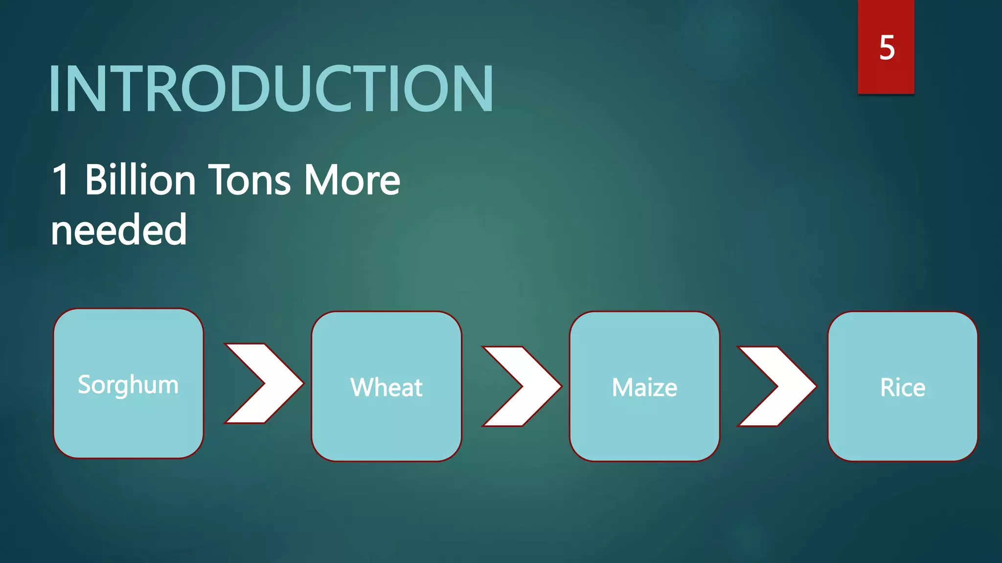 Presentation (12).pptx