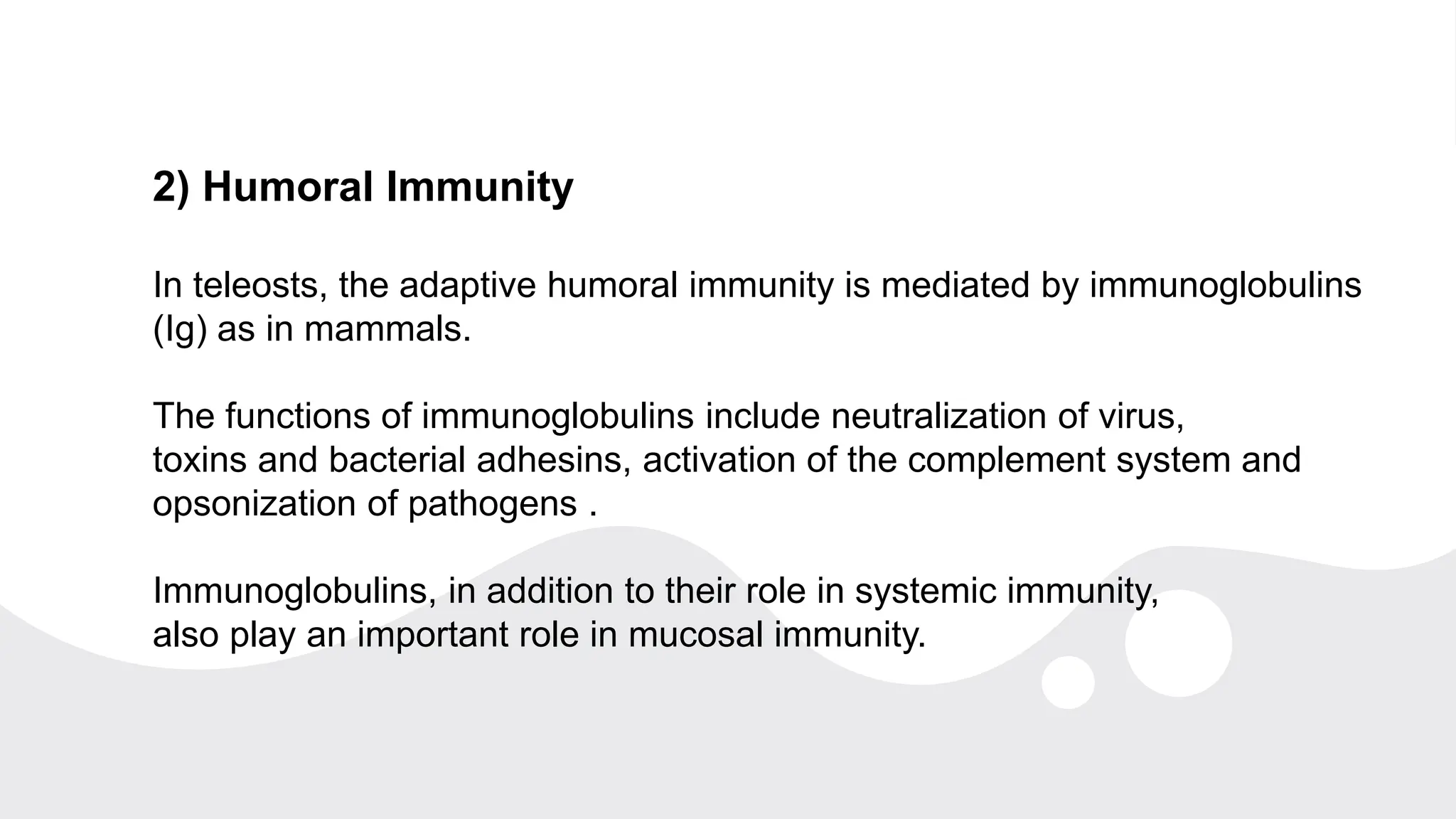 Fish Immune system by Divya Tarsariya Presentation (12).pptx