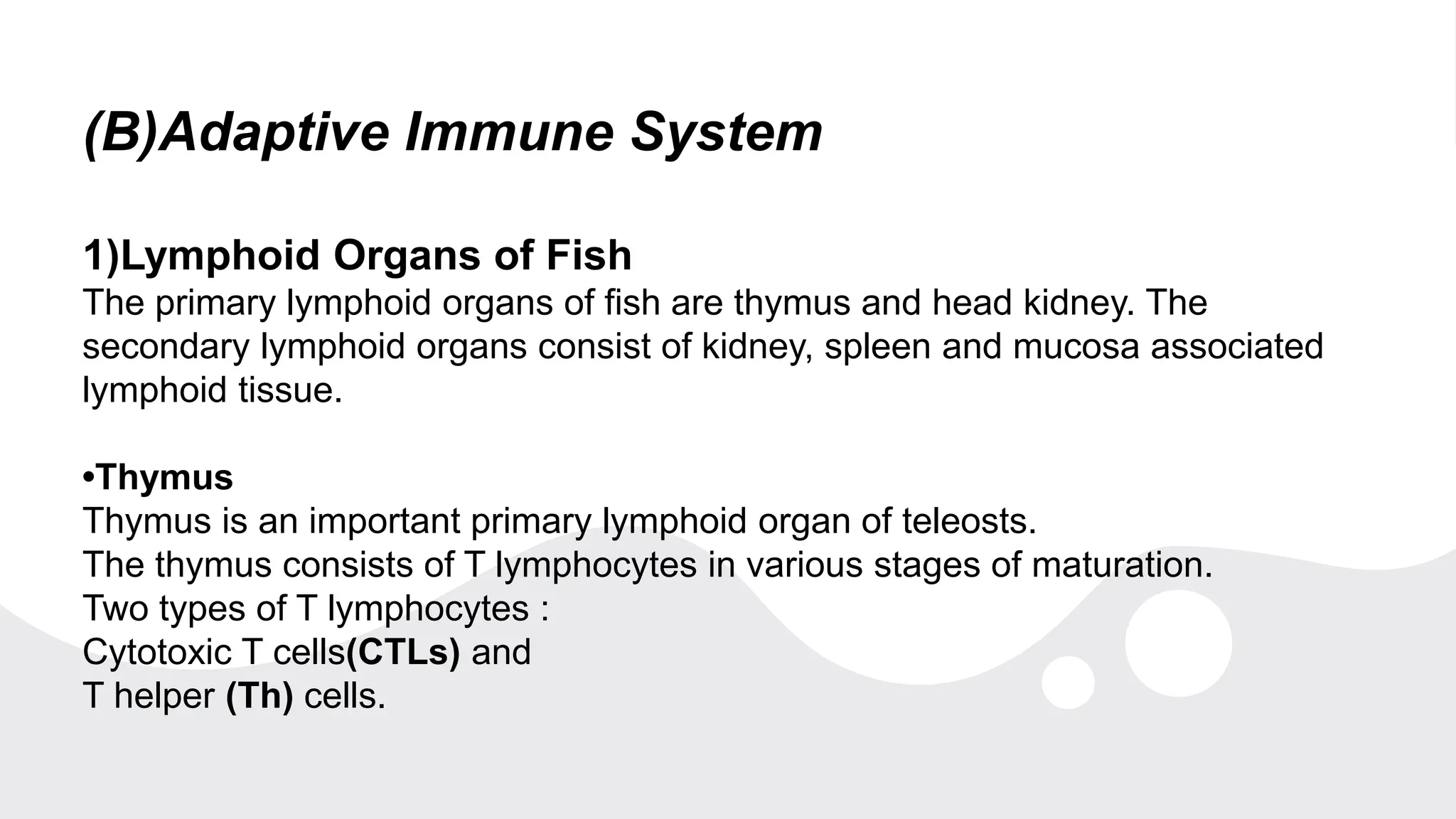 Fish Immune system by Divya Tarsariya Presentation (12).pptx