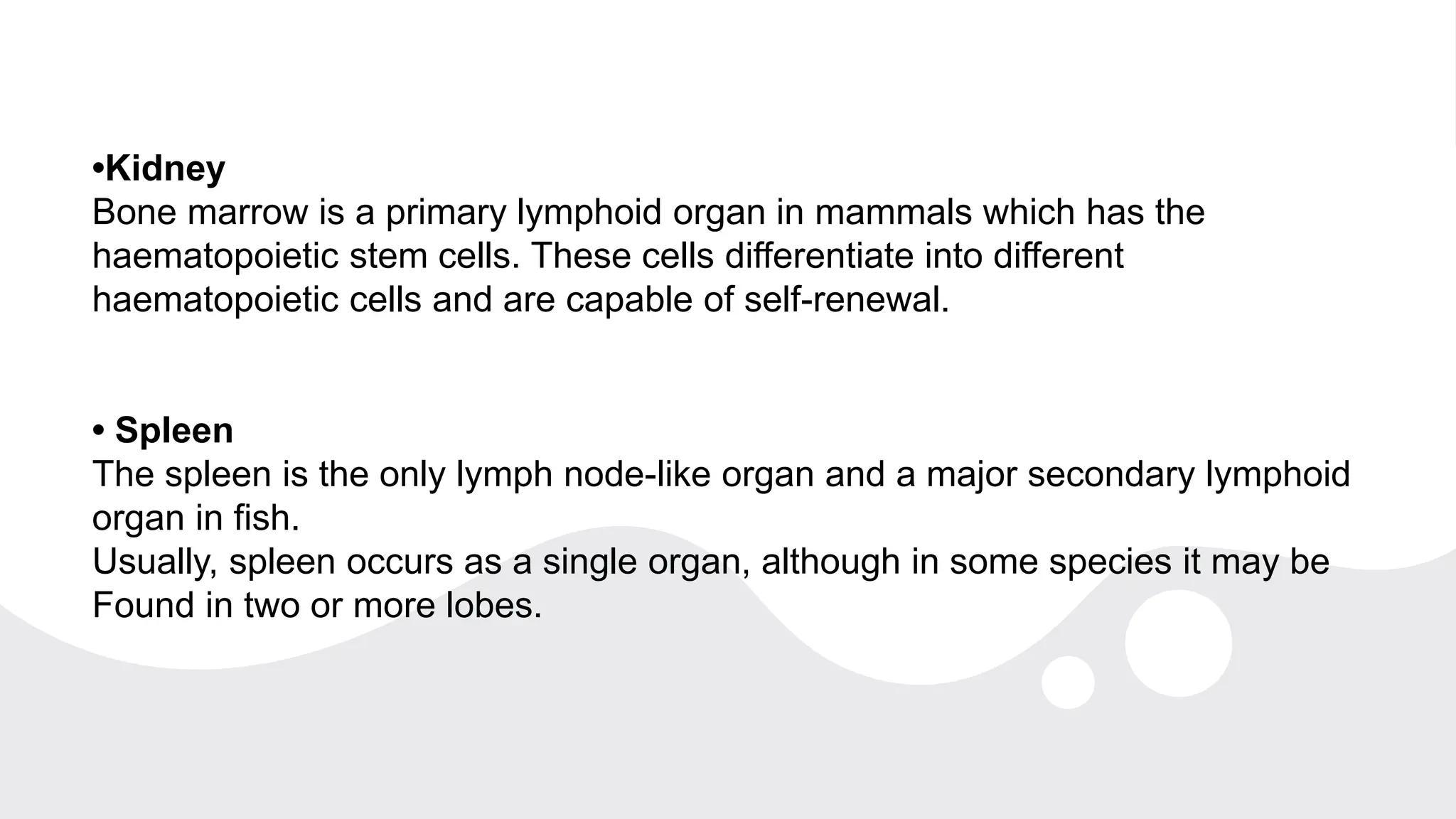 Fish Immune system by Divya Tarsariya Presentation (12).pptx
