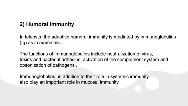 Fish Immune system by Divya Tarsariya Presentation (12).pptx