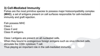 Fish Immune system by Divya Tarsariya Presentation (12).pptx
