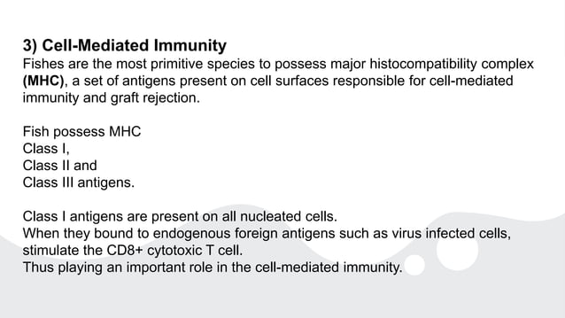 Fish Immune system by Divya Tarsariya Presentation (12).pptx