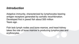 Fish Immune system by Divya Tarsariya Presentation (12).pptx