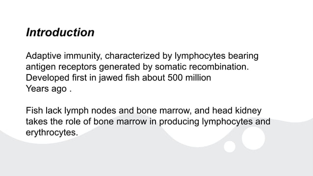 Fish Immune system by Divya Tarsariya Presentation (12).pptx