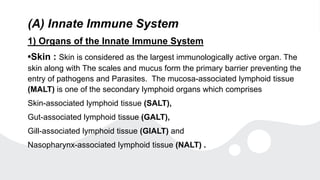 Fish Immune system by Divya Tarsariya Presentation (12).pptx ...