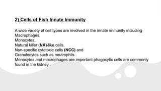Fish Immune system by Divya Tarsariya Presentation (12).pptx ...
