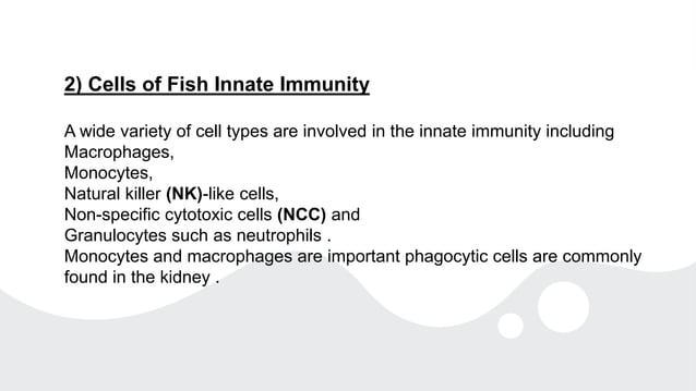 Fish Immune system by Divya Tarsariya Presentation (12).pptx