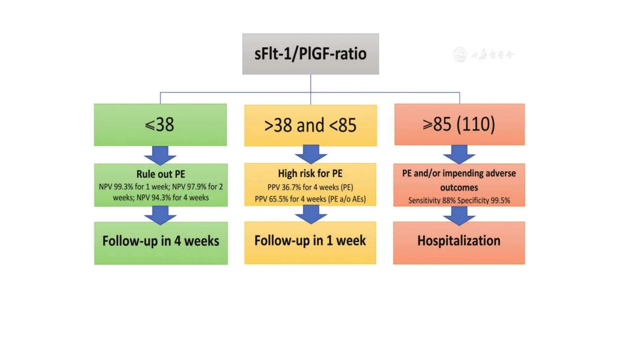 Preeclampsia Sflt1/plgf ratio Presentation | PPTX