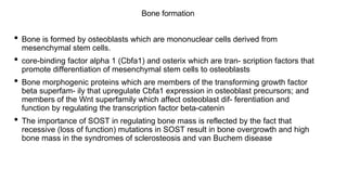 Presentation for osteoporosis in bones of | PPT