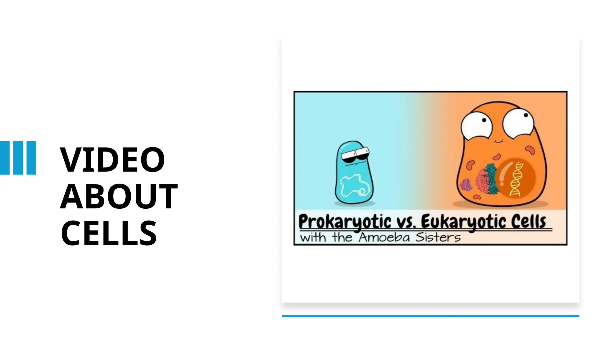 Introduction to cells [Biology][Life Science][Natural Science] | PPT