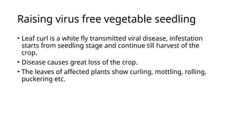 Presentation diseases of Vegetables.pptx
