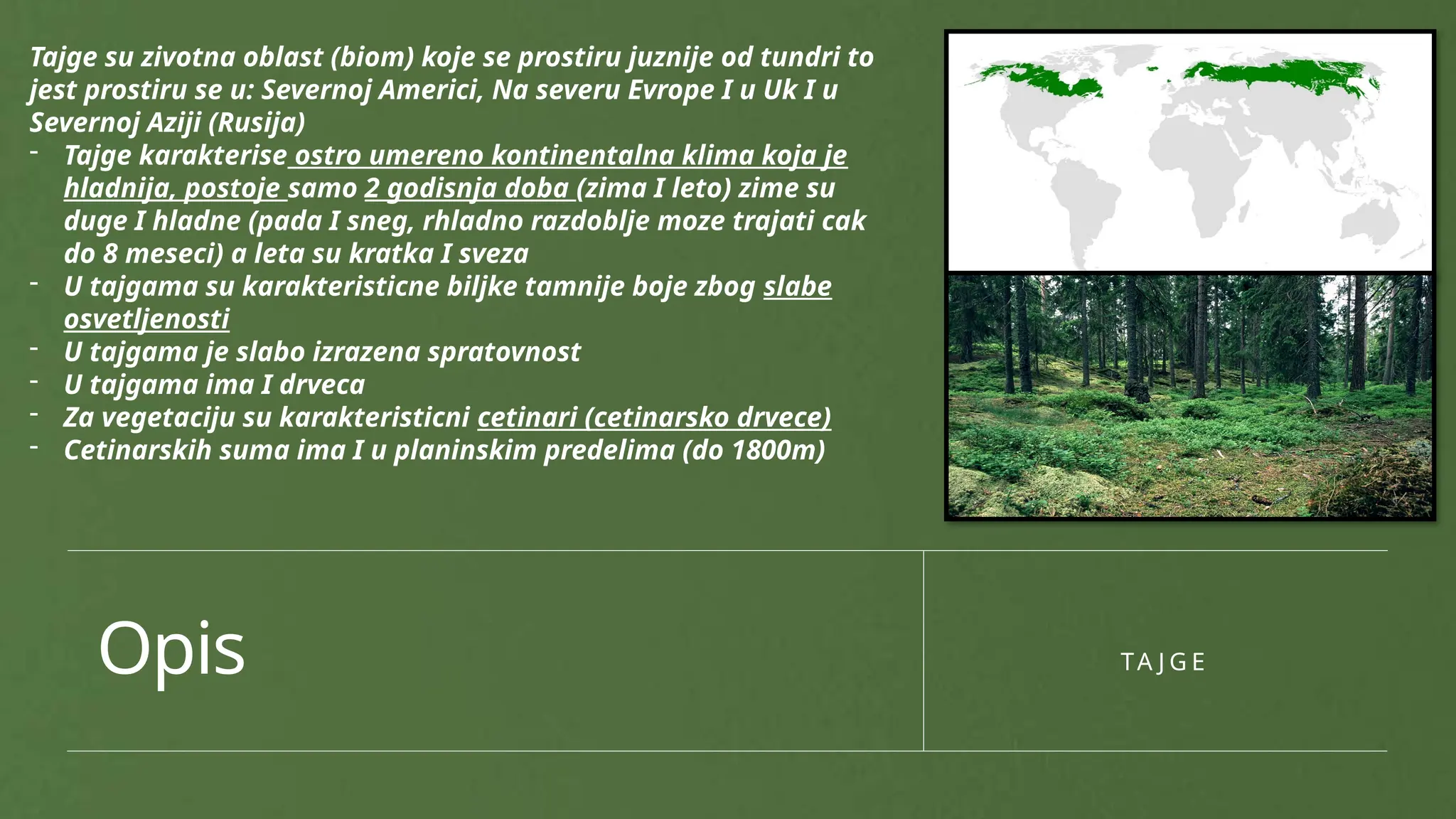 Tajge (opis, jedinstvene karakteristike,biljke,zivotinje) | PPTX