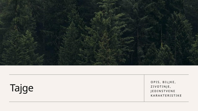 Tajge (opis, jedinstvene karakteristike,biljke,zivotinje) | PPT