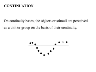 Perception and Sensation Presentation1 2003.ppt