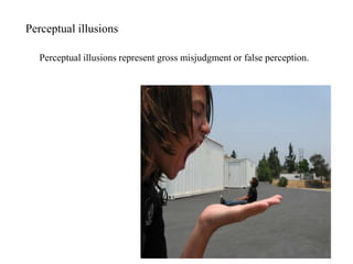 Perception and Sensation Presentation1 2003.ppt