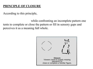 Perception and Sensation Presentation1 2003.ppt