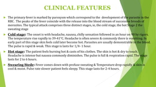 Presentation121.pptx