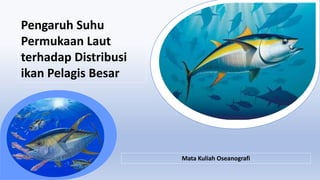 Hubungan Suhu dan pelagis besar | PPTX
