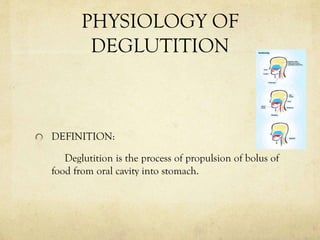 ANATOMY OF ESOPHAGUS WITH PHYSIOLOGY OF DEGLUTITION | PPTX