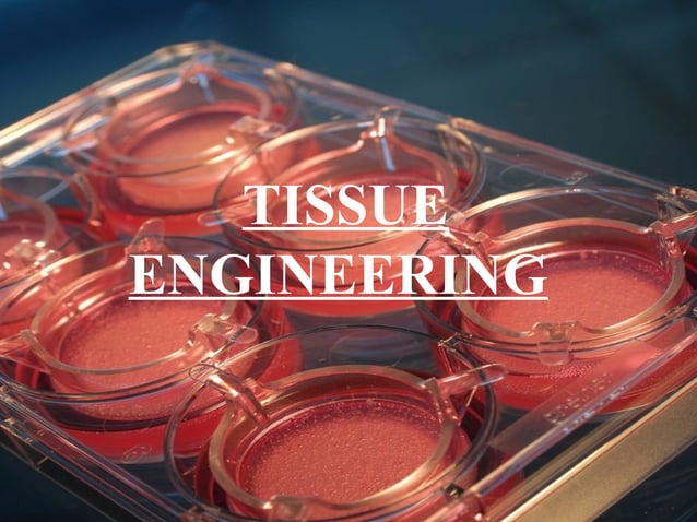 TISSUE ENGINEERING | PPT | Biological Sciences | Science
