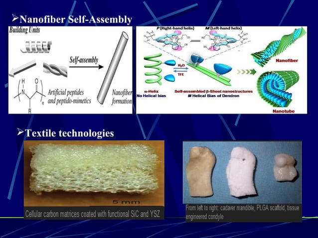 TISSUE ENGINEERING | PPT | Biological Sciences | Science