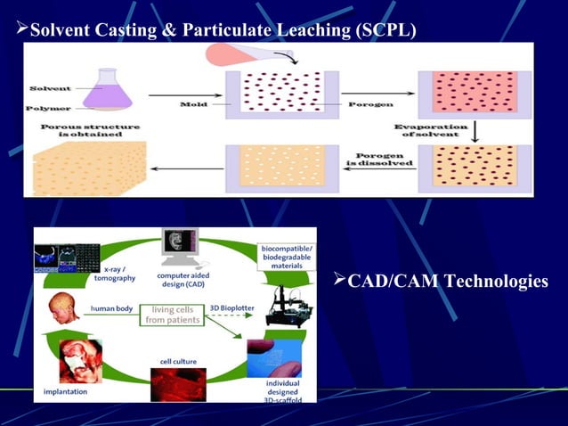 TISSUE ENGINEERING | PPT | Biological Sciences | Science