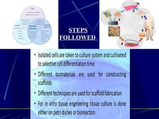 TISSUE ENGINEERING | PPT