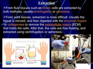 Cell And Tissue Engineering