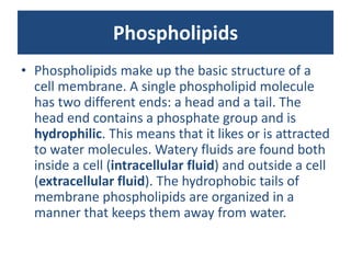 Presentation1 23 | PPTX | Biological Sciences | Science