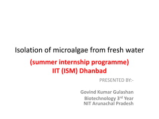 isolation of micro algae from fresh water | PPTX