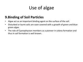 isolation of micro algae from fresh water | PPTX