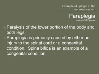 Presentation12 h | PPT