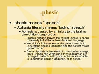 Presentation 12 the nervous system | PPT