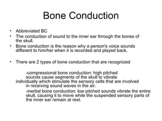 Presentation 13 | PPT | Free Download