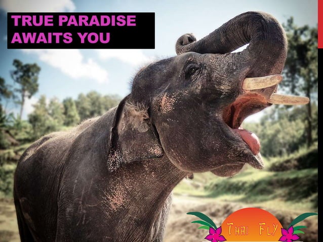 Thailand slide show | PPTX