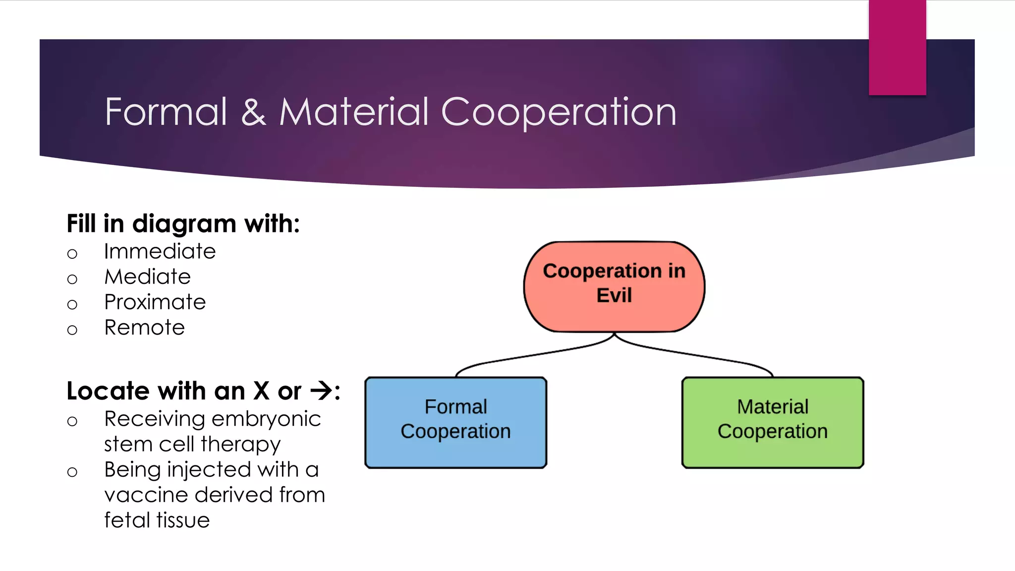 Presentation13 | PPT