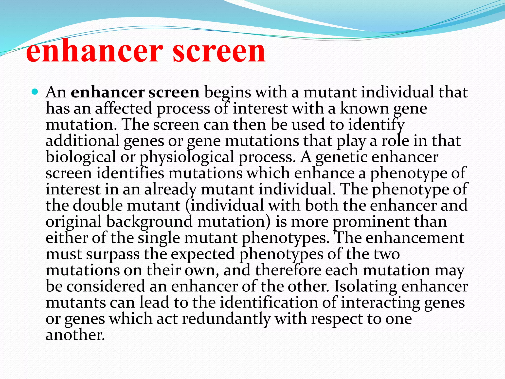 mutagenesis | PPTX | Chemistry | Science