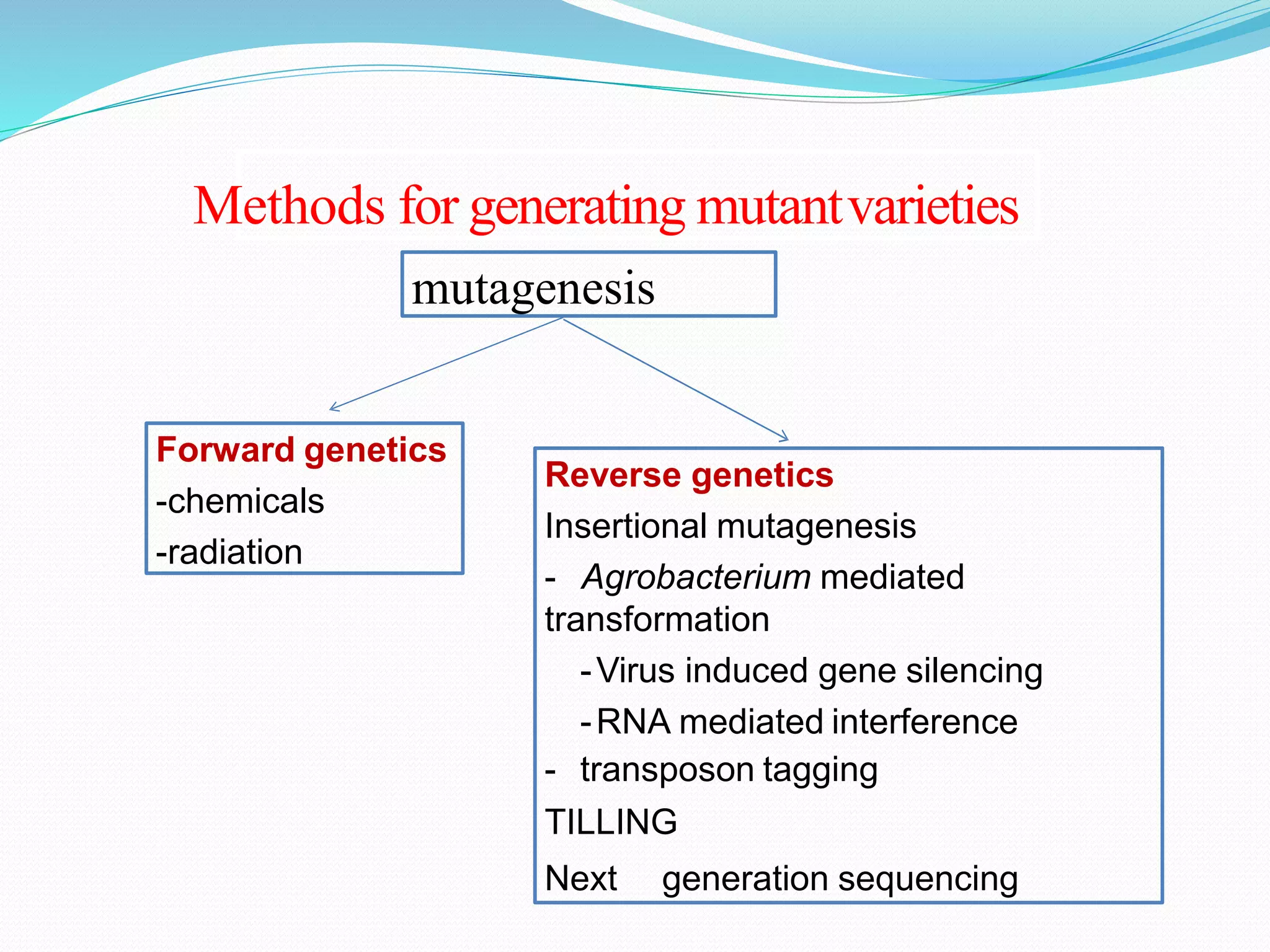 mutagenesis | PPTX