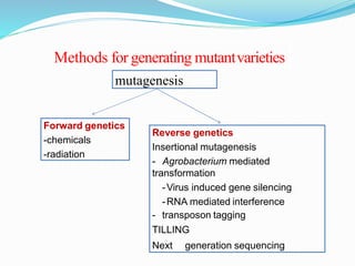 mutagenesis | PPTX