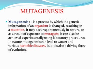 Mutagen Definition
