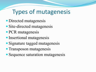 mutagenesis | PPTX