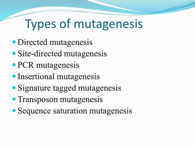 mutagenesis | PPTX | Chemistry | Science