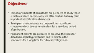 Preparation of nematode mounting | PPTX